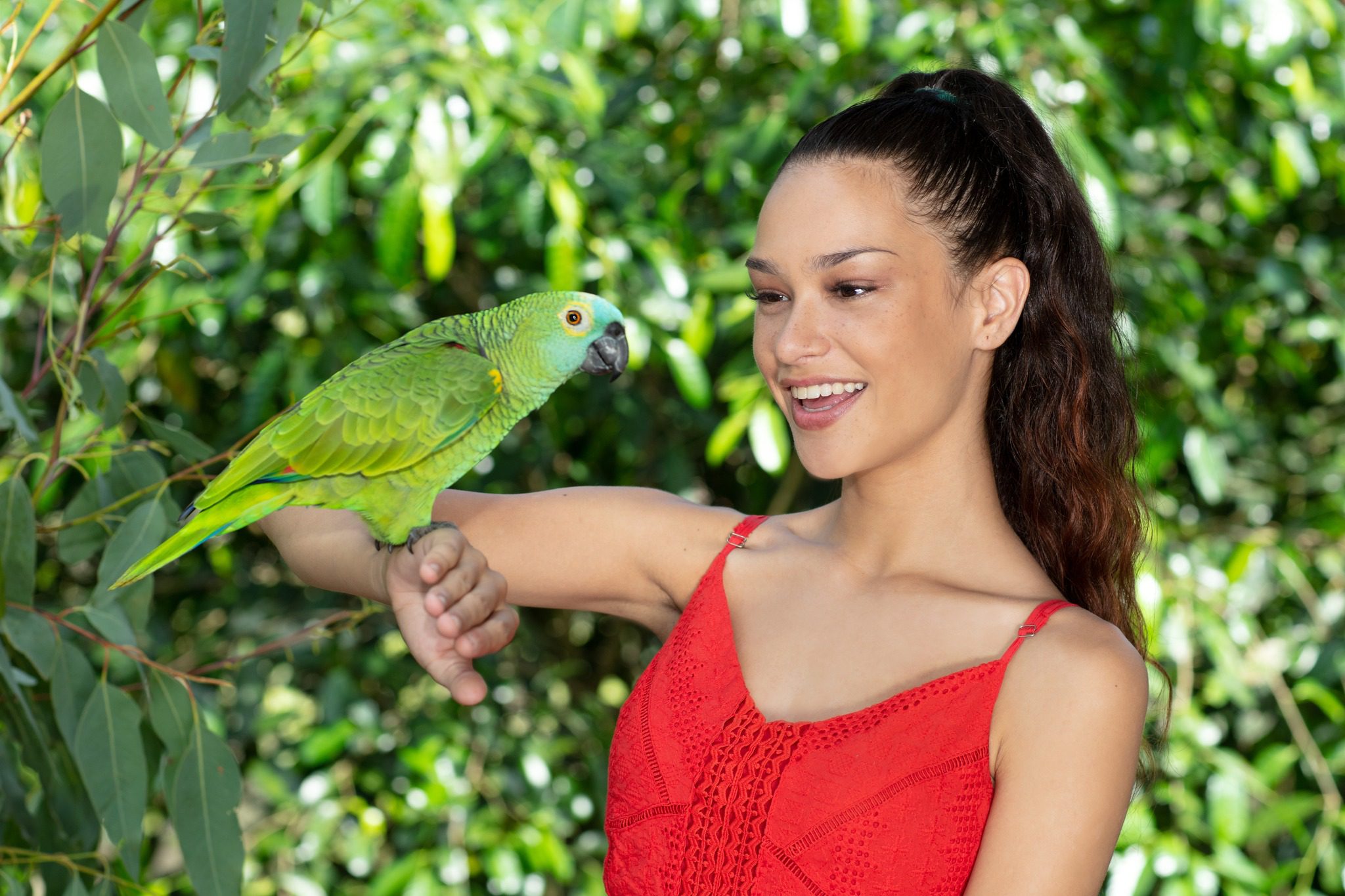 Birdworld Kuranda - Business Events Cairns