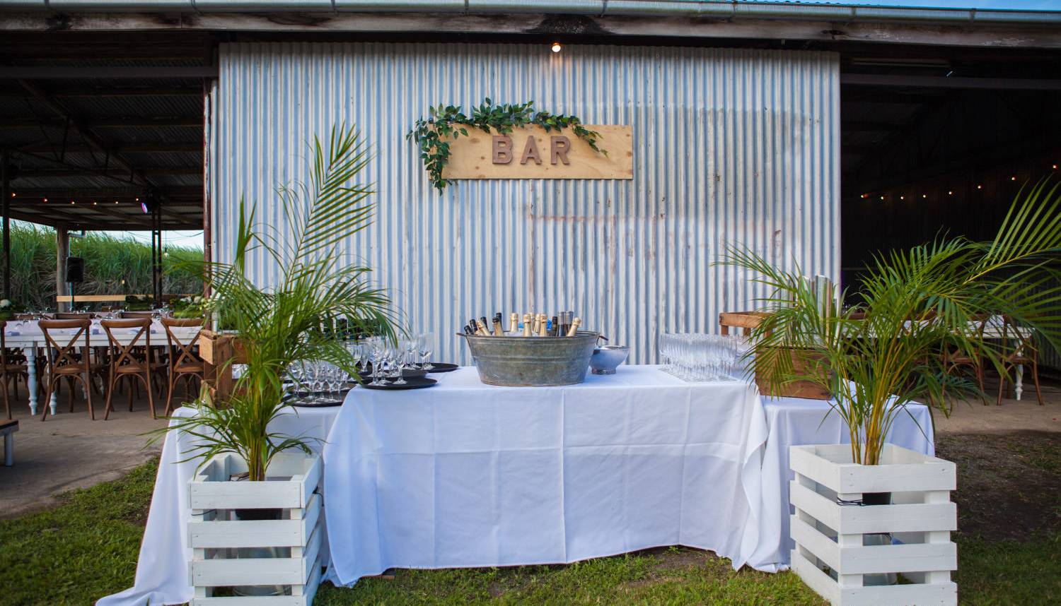 Cane Fields - Business Events Cairns