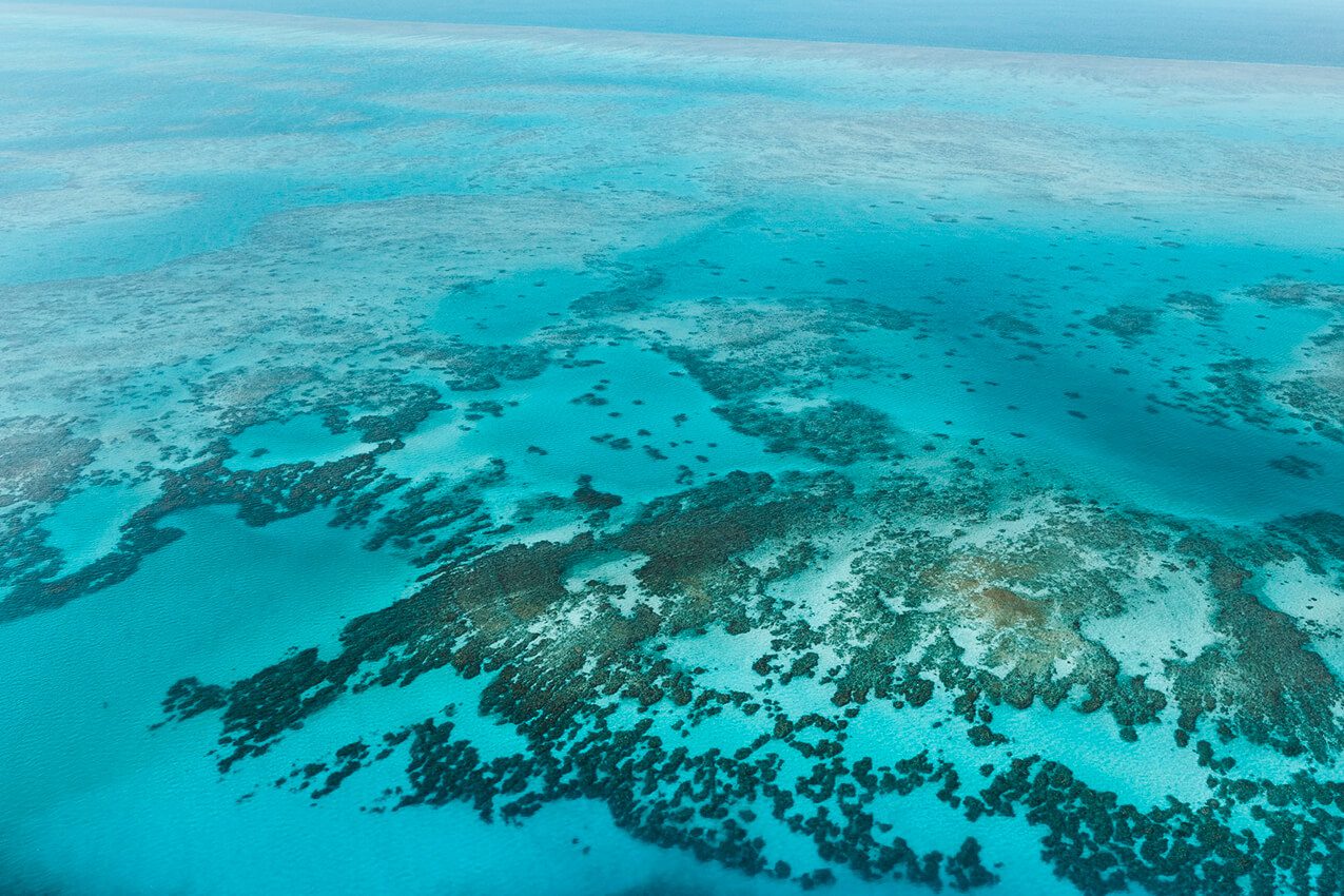 Eco Sustainable Destination | Business Events Cairns & Great Barrier Reef