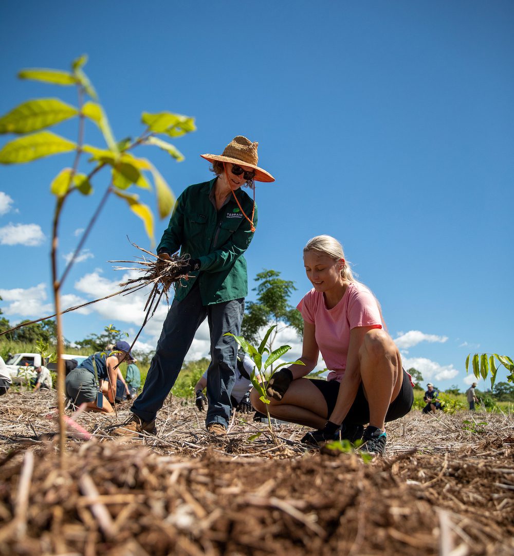 Reforest - Business Events Cairns