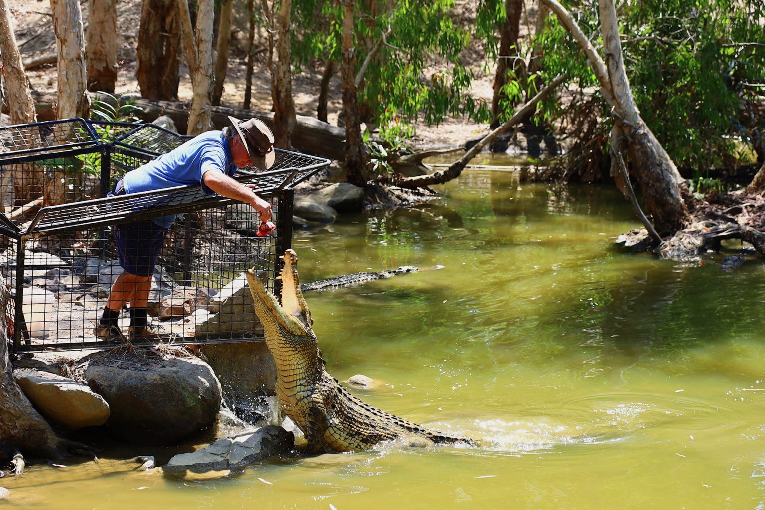 North Queensland Wildlife Trust - Business Events Cairns